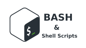 Bash & Shell Scripting: The Command Execution As The Condition In The Loop Structure | Kurume ...
