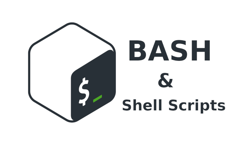 Bash And Shell Scripting The Command Execution As The Condition In The Loop Structure Kurume